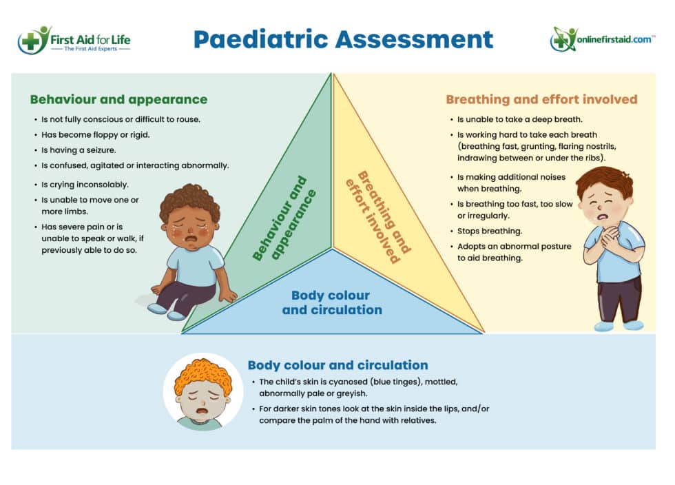 The Paediatric Assessment Triangle – a Calm, Simple Guide - First Aid ...